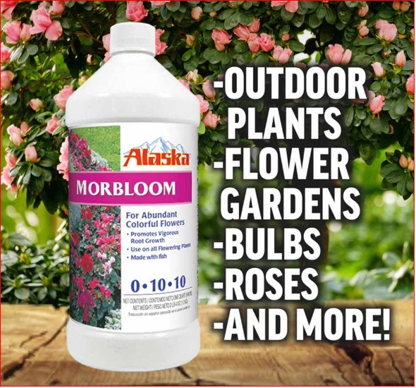 Alaska Morbloom Fertilizer Natural Concentrate 0 10 10 32 Oz 2 Pack
